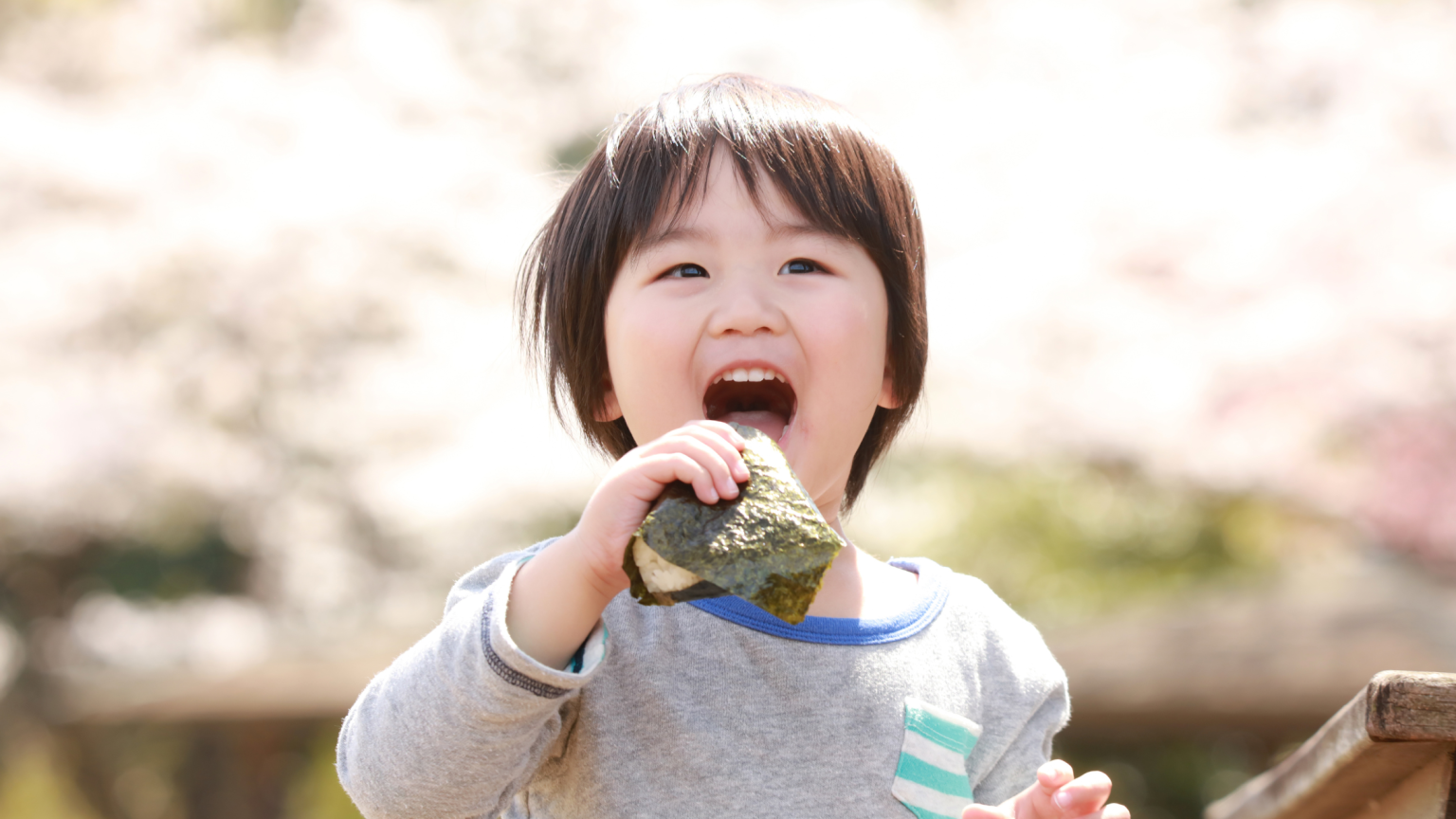 「MAJIDE」はマジで美味しいの？購入者による本音レビュー｜MAJIDEマガジン